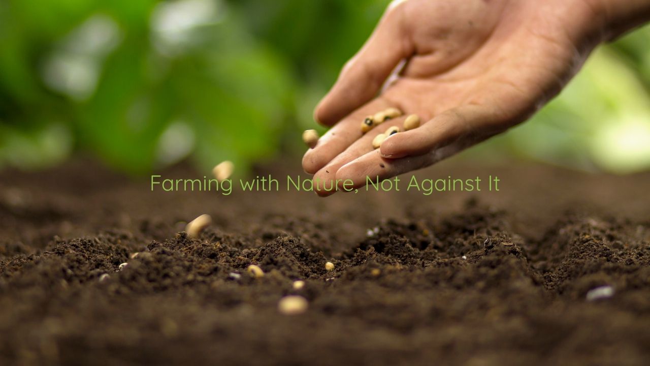 Traditional Farming Practices in India: Ancient Lessons for Today ...